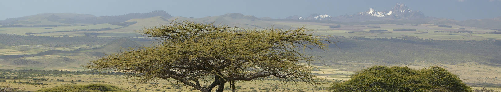 Connecting Kenya: Upgrading the 90 km Samatar - Wajir Road - OPEC Fund ...